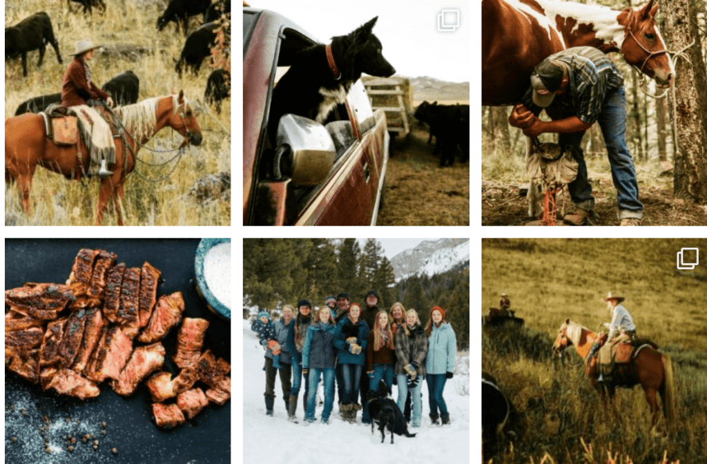 Alderspring Ranch Review - Do I Recommend? - Subscriboxer