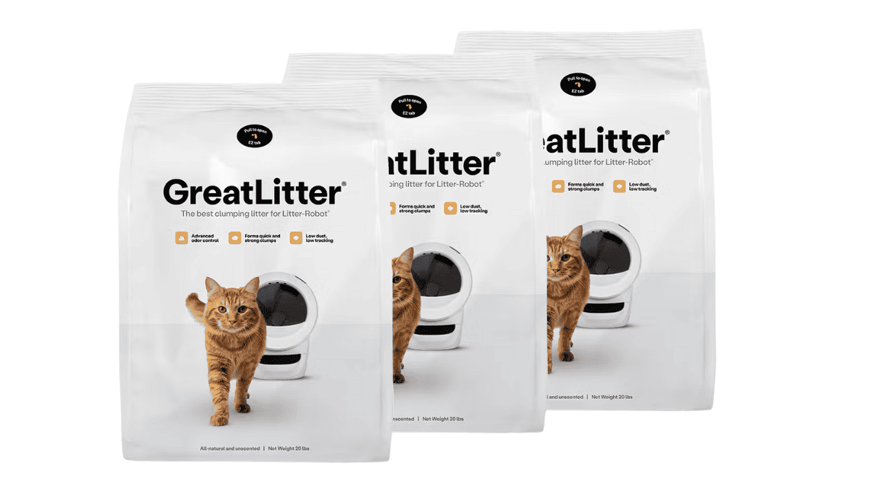 7 Pretty Litter Alternatives - Subscriboxer