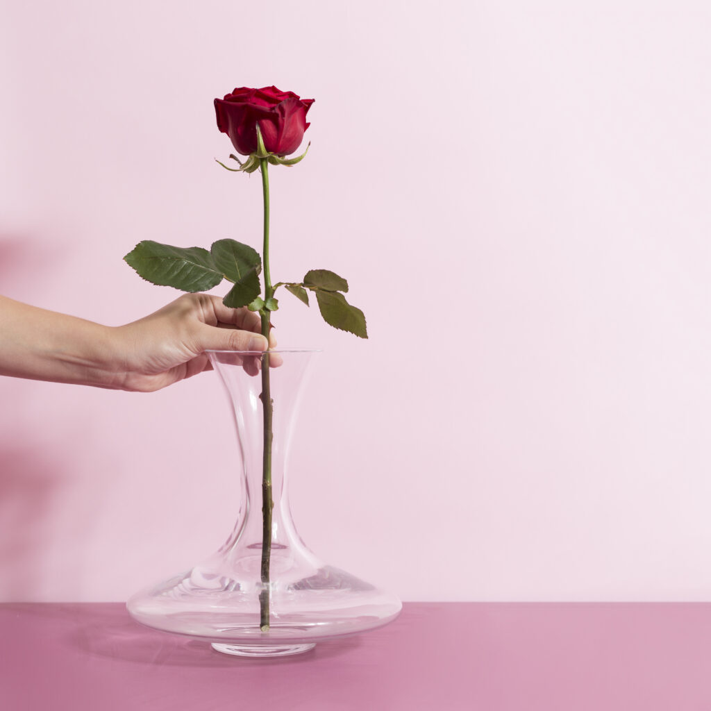 Best Online Rose Delivery for Last-Minute Saves and Planned Moments